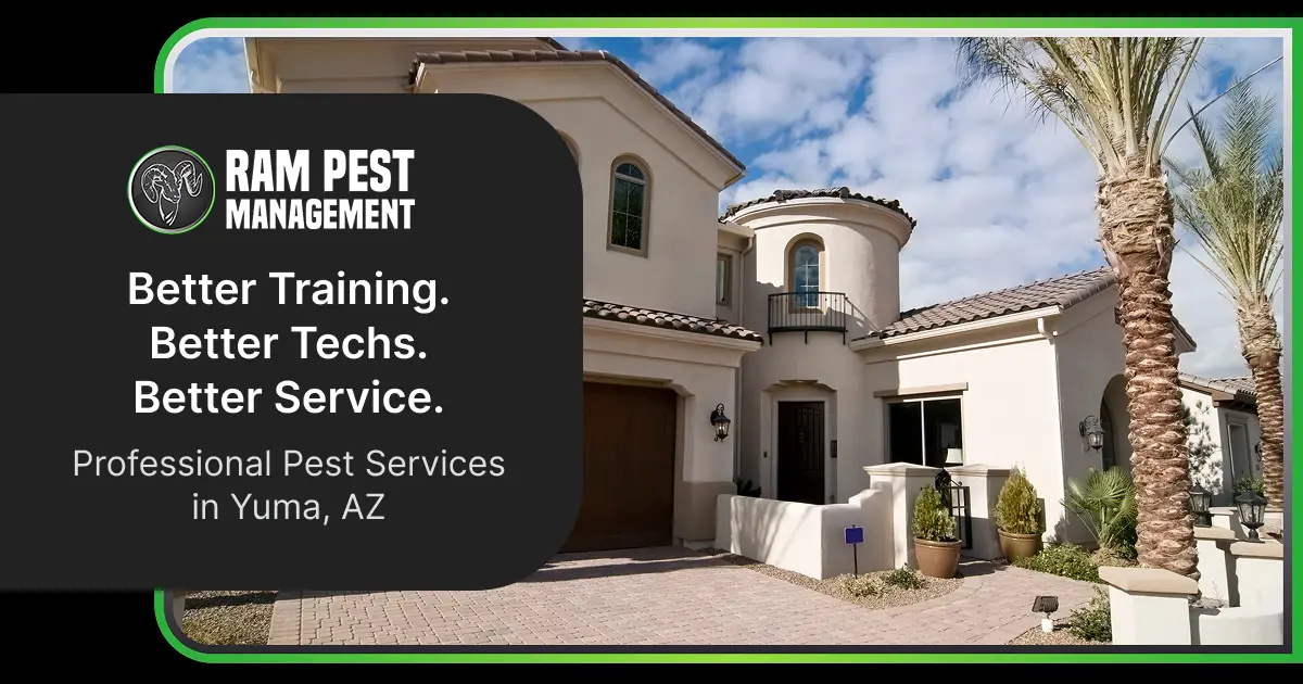 Pest Control Company in Yuma | RAM Pest